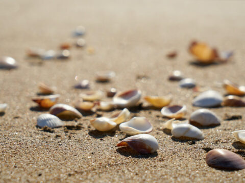 Love Loop Head | Voted best place to holiday in Ireland